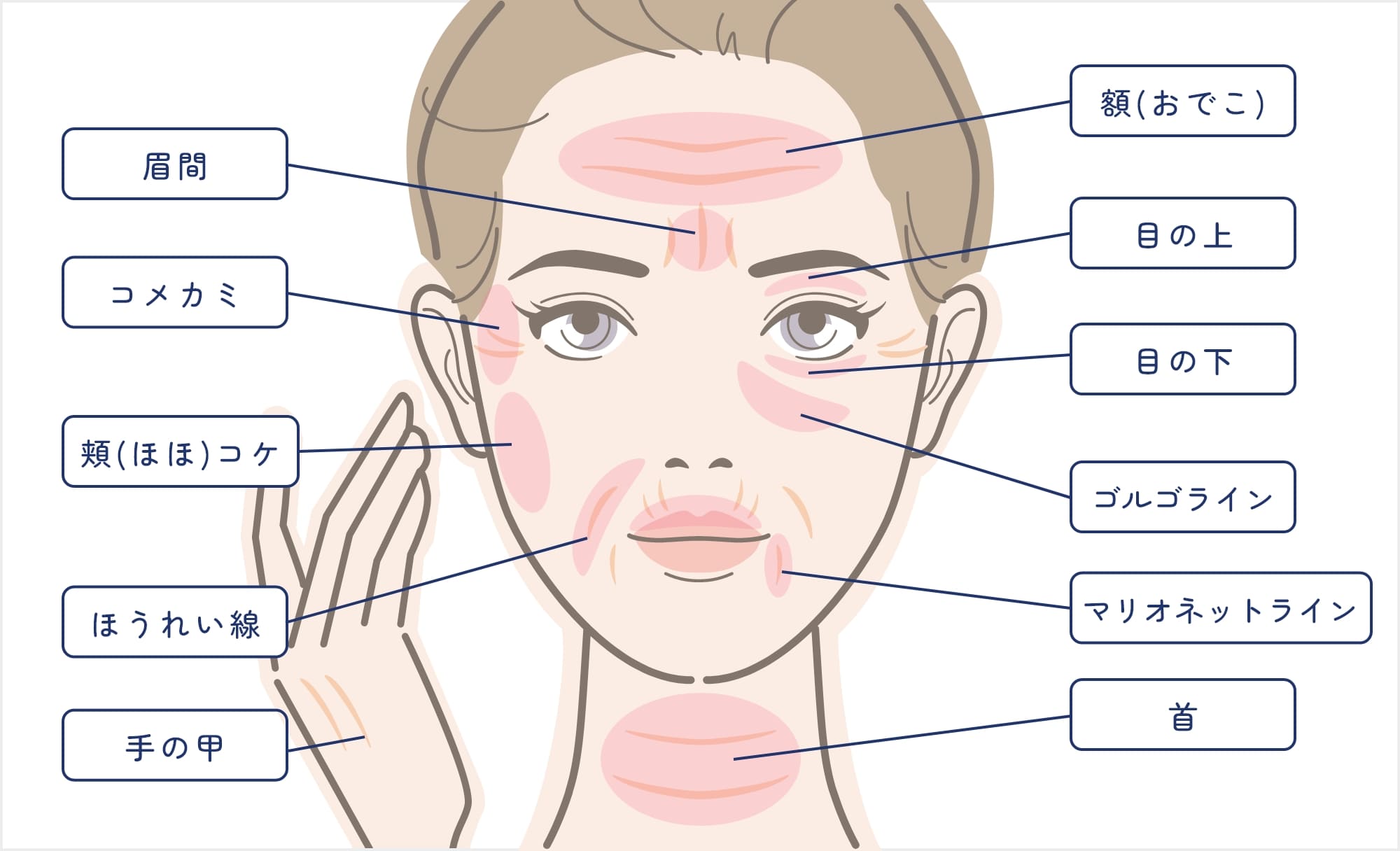 PRPF®療法 - 新宿の美容外科・美容皮膚科ならPonoクリニック